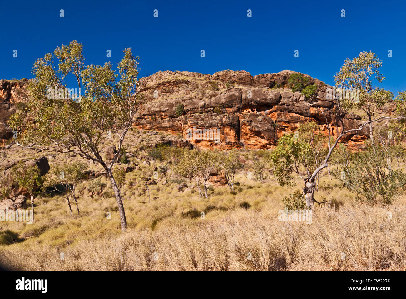 BUNGLE BUNGLE RANGE, PURNULULU NATIONAL PARK, WESTERN AUSTRALIA ...