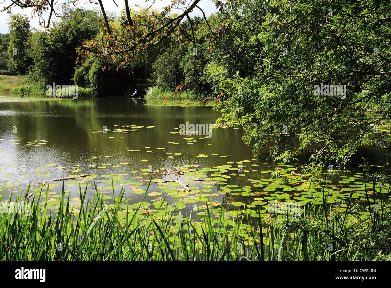 Surrey Hills Pond High Resolution Stock Photography and Images - Alamy