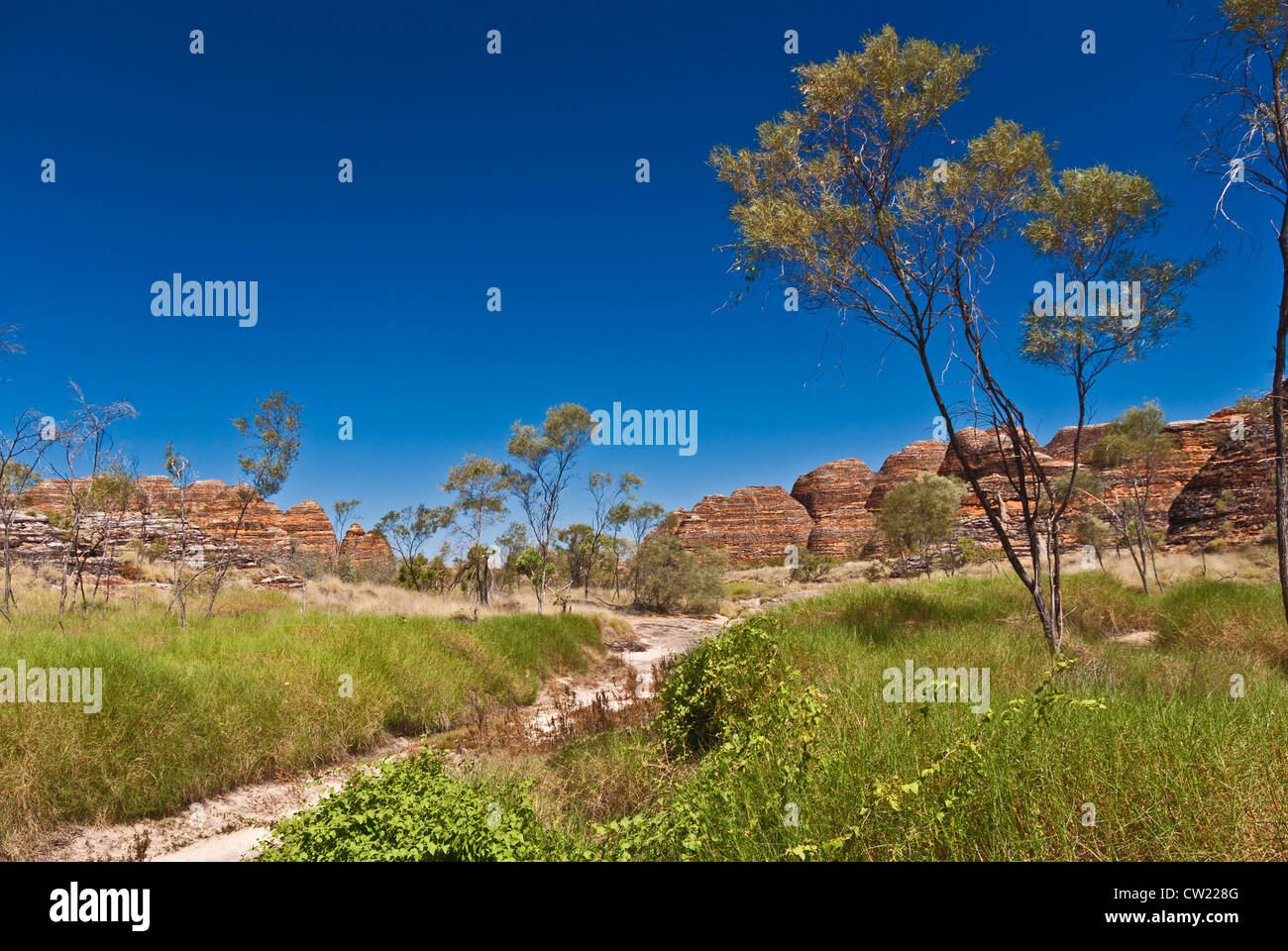 BUNGLE BUNGLE RANGE, PURNULULU NATIONAL PARK, WESTERN AUSTRALIA ...