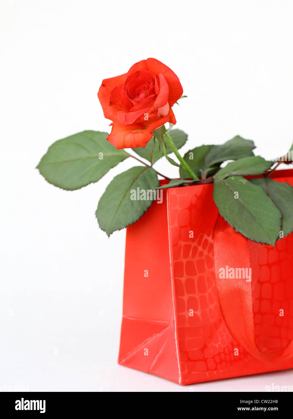 red rose in a gift bag on white background Stock Photo - Alamy