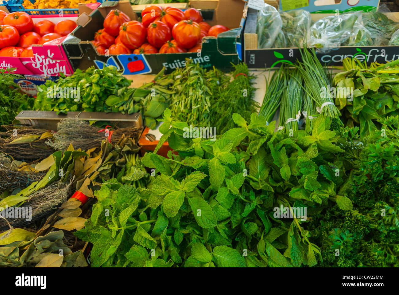 Paris, France, Close up, Fresh Vegetables on Display in French Farmers ...