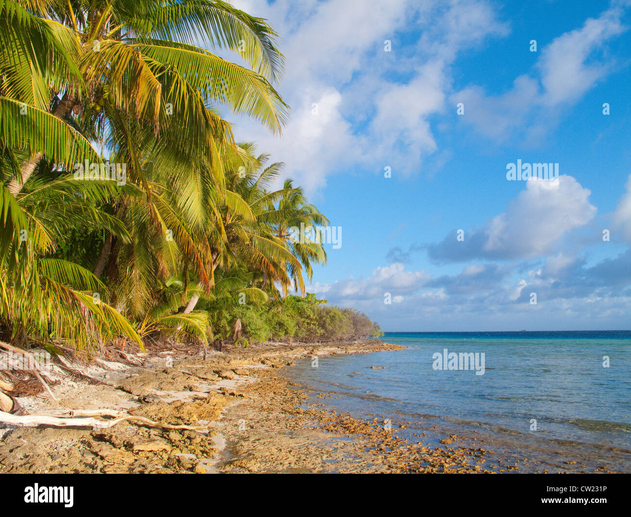 Hot water beach strand hi-res stock photography and images - Alamy