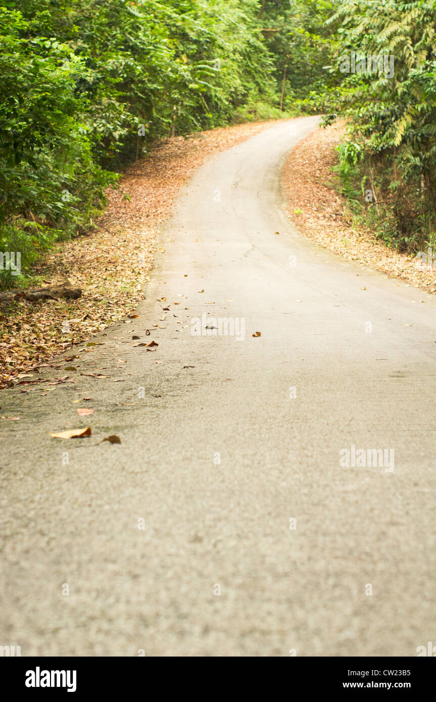 Uphill pathway hi-res stock photography and images - Alamy