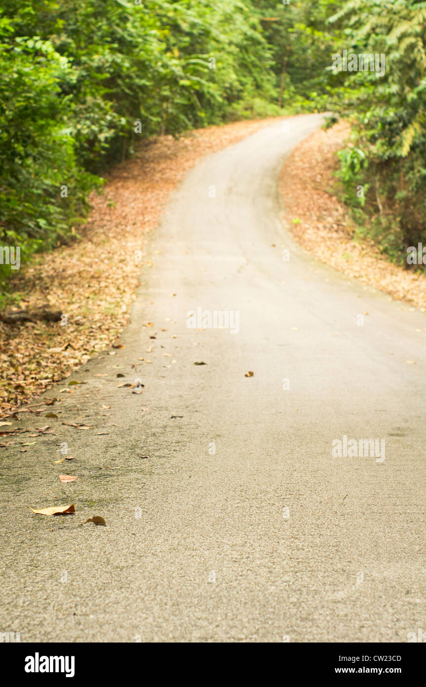 uphill and winding path in a natures park Stock Photo - Alamy