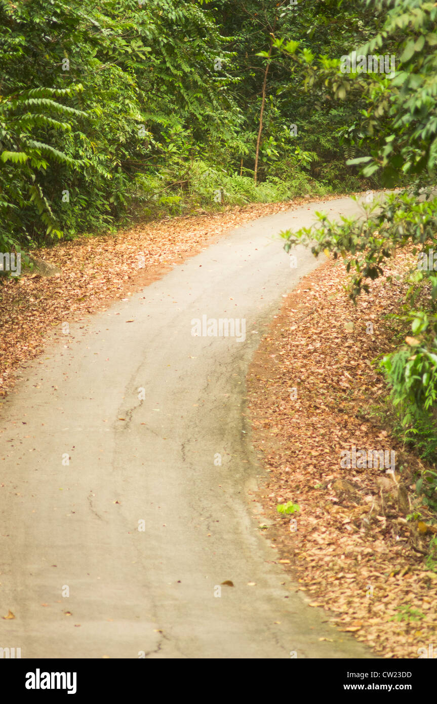 uphill and winding path in a natures park Stock Photo - Alamy