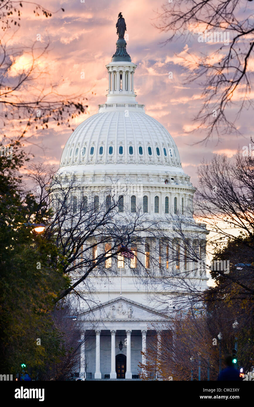 The United States Capitol Building, Washington, D.C Stock Photo - Alamy