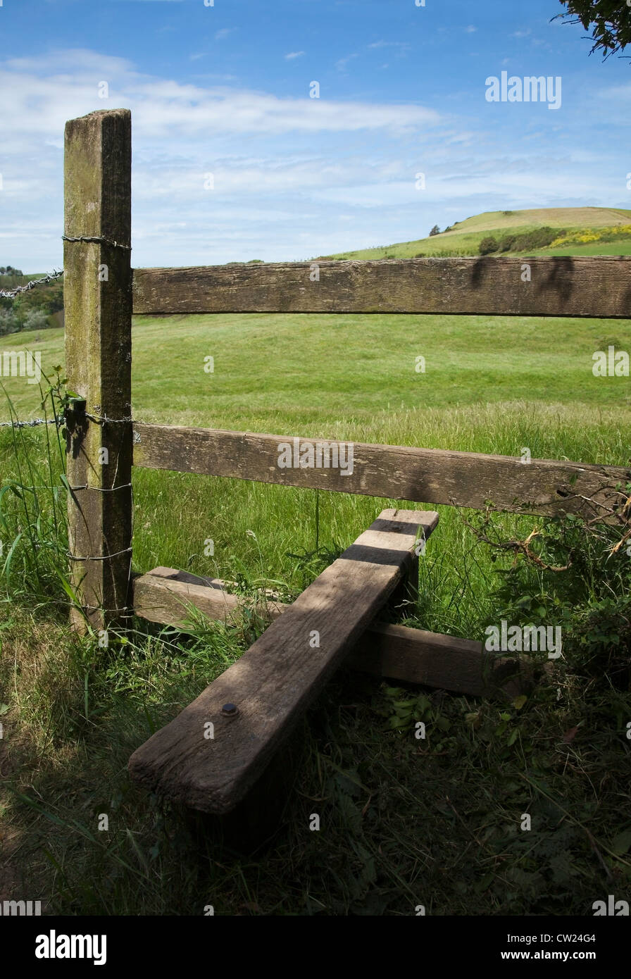 Wooden steps on nature trail hi-res stock photography and images - Alamy