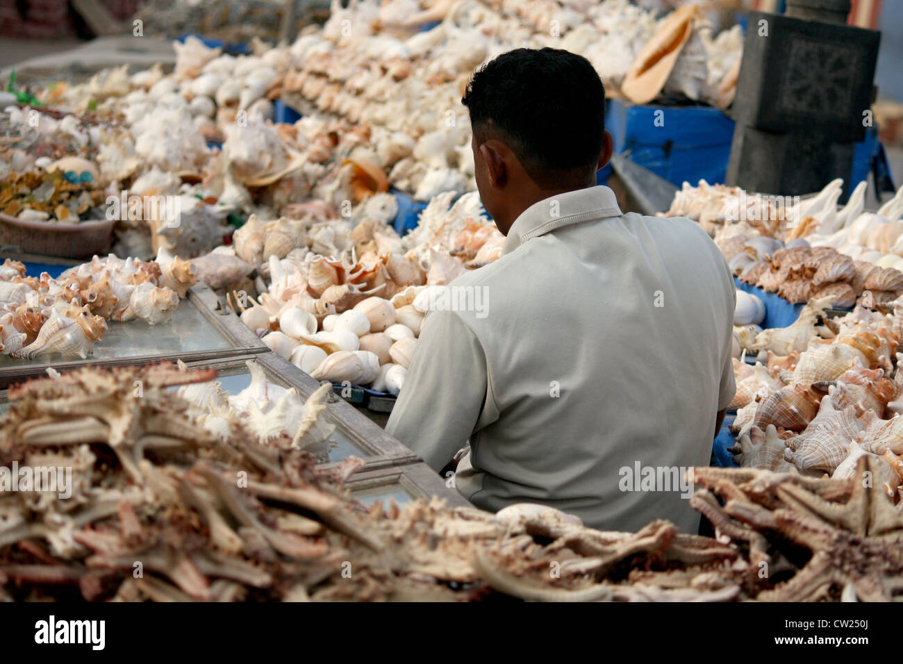 Kanyakumari Shells High Resolution Stock Photography and Images - Alamy