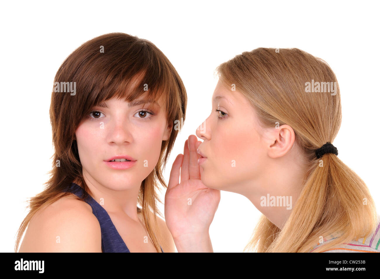 Two young womans are talking with each other on white background Stock ...