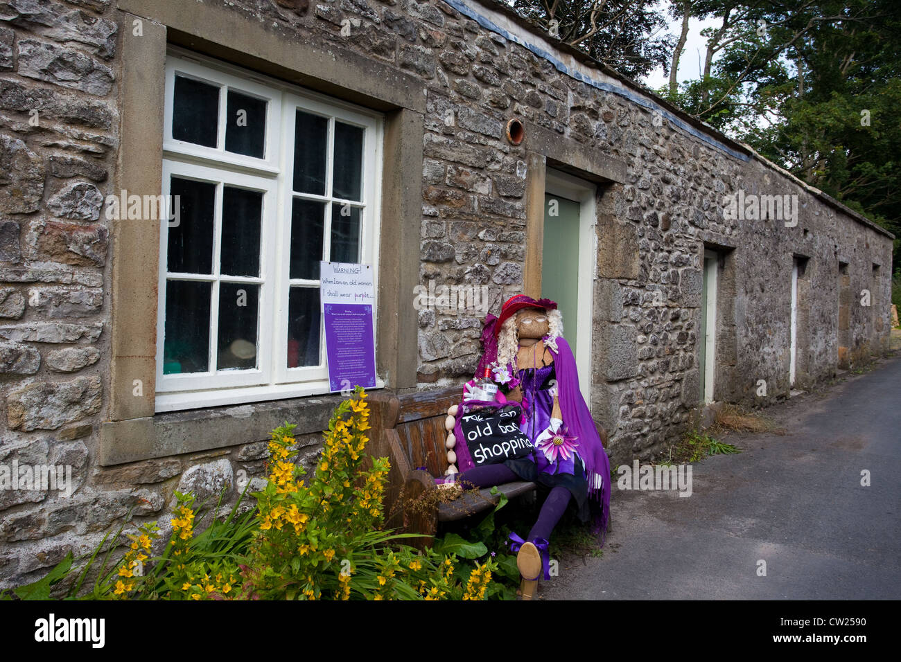 Jenny Joseph. Woman in purple 'Take an old bag shopping' Yorkshire UK ...