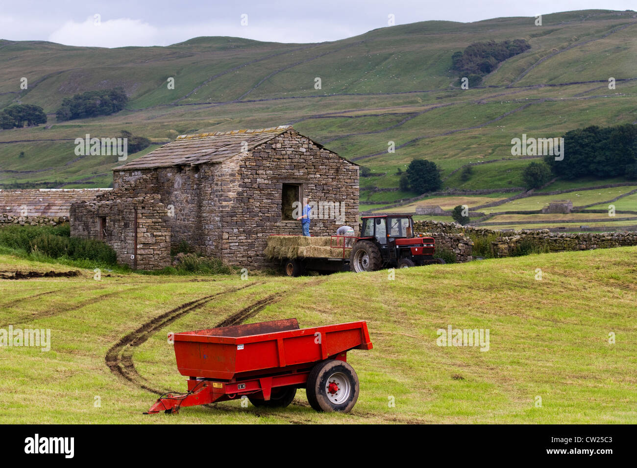 Storing Hay Haymaking in August near Hawes, North Yorkshire Dales ...