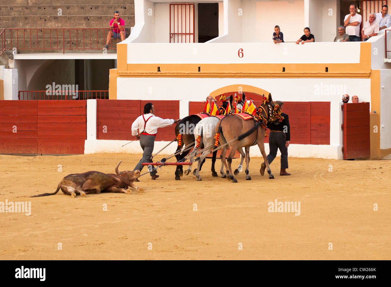 Bull fight dead hi-res stock photography and images - Alamy