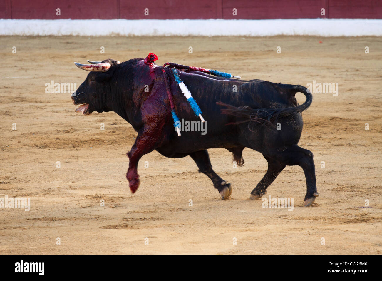 Bullfighting stadium hi-res stock photography and images - Alamy