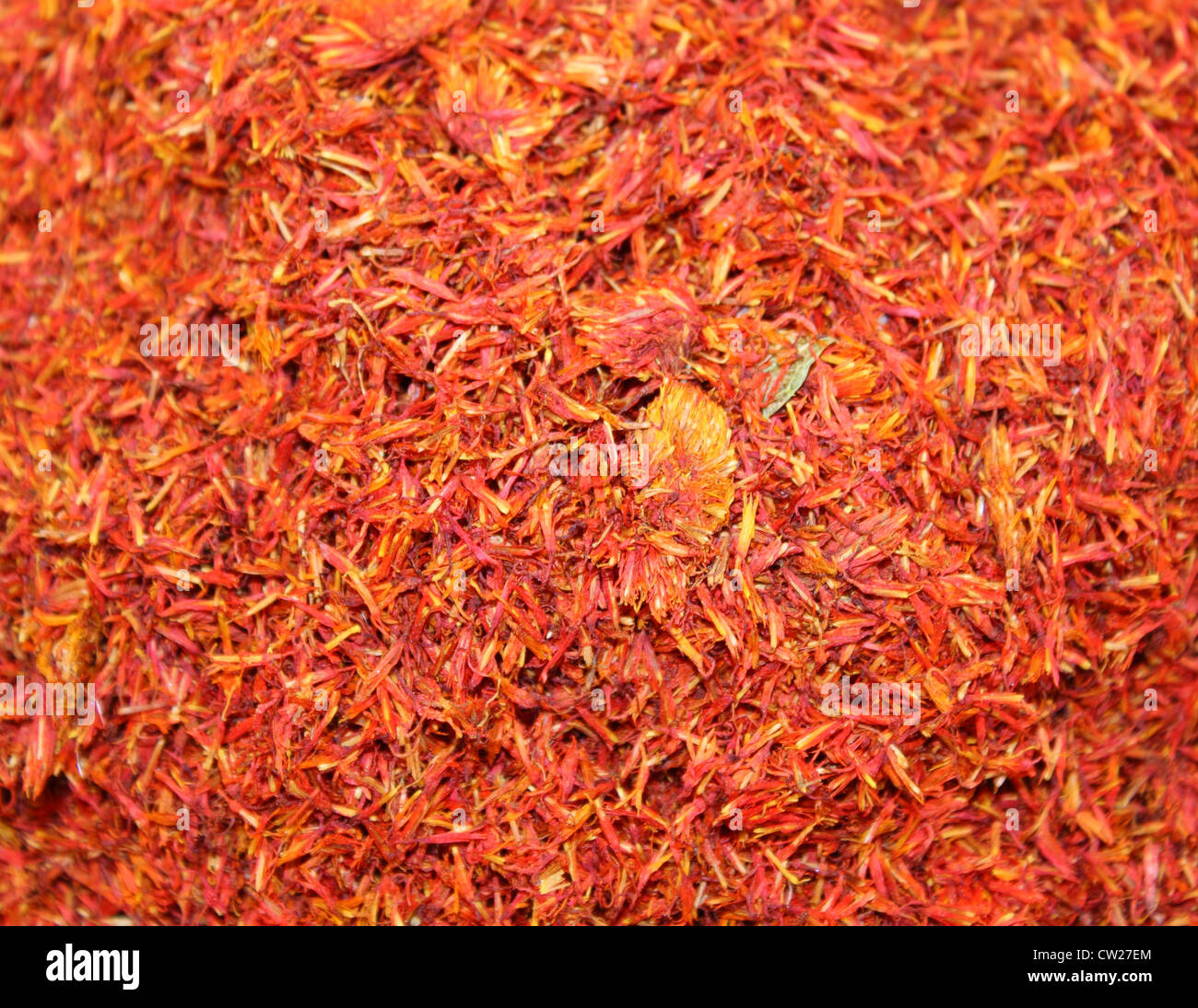 Saffron flowers harvest hi-res stock photography and images - Alamy