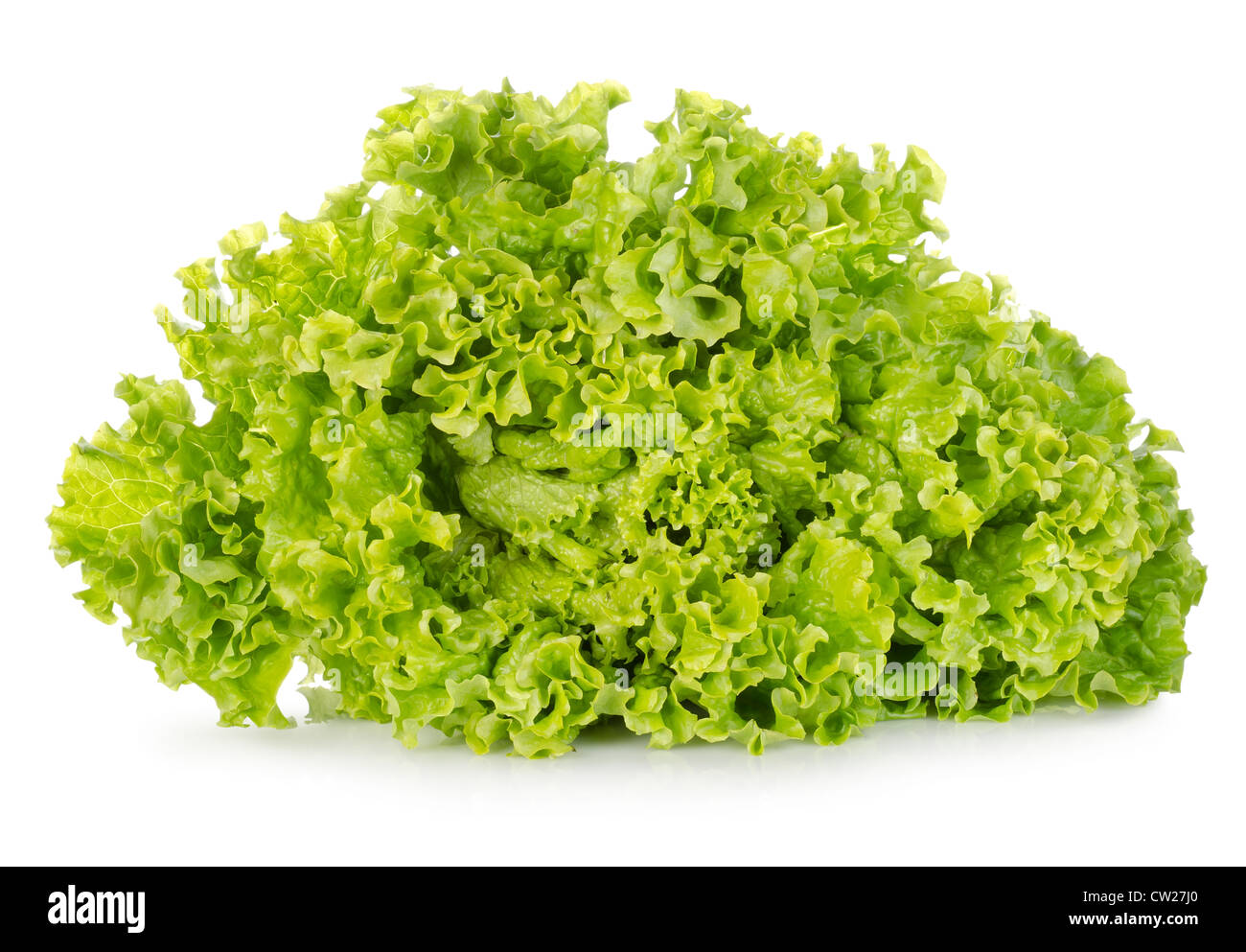 Wet lettuce on white hi-res stock photography and images - Alamy