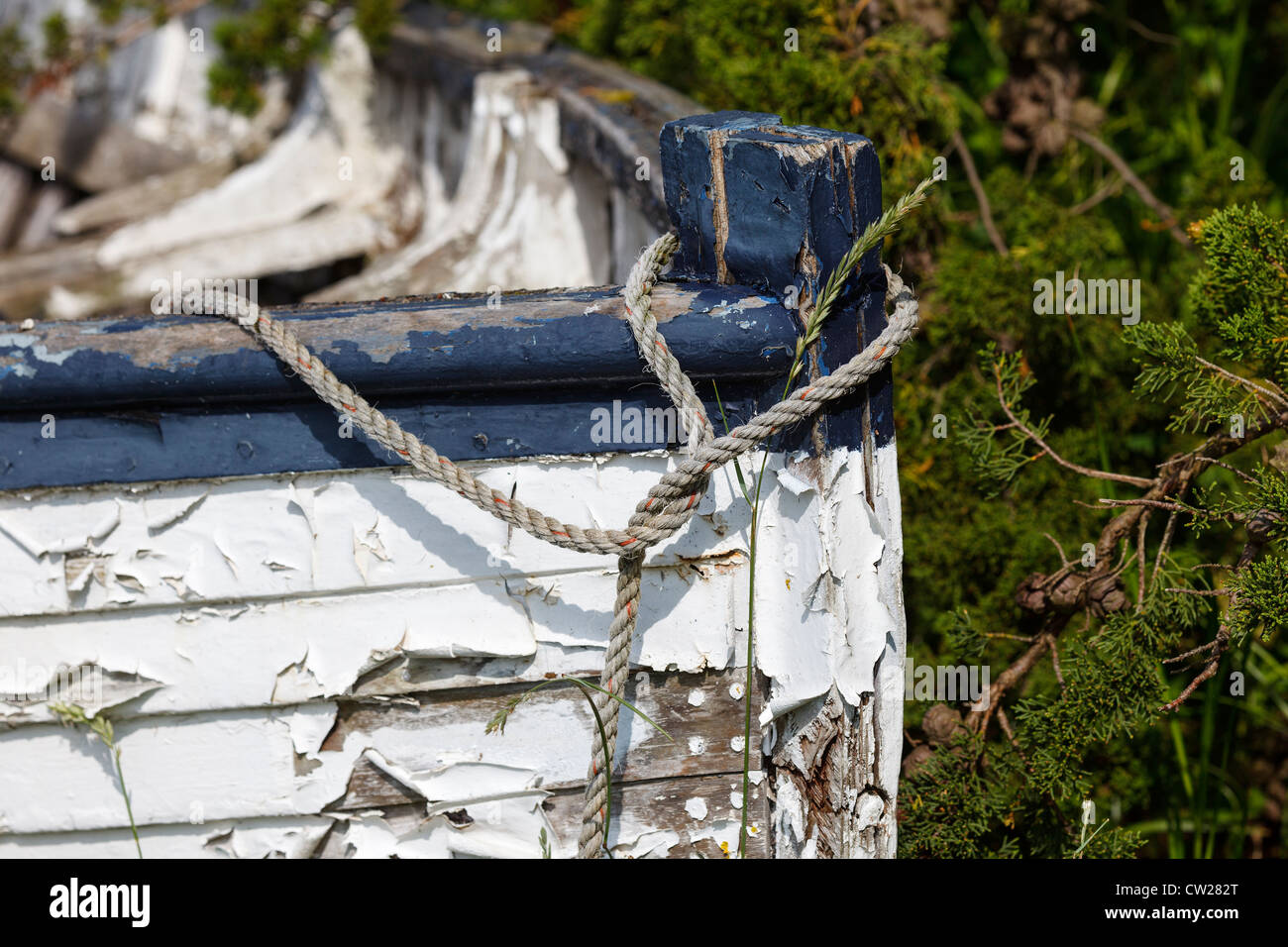 The skeleton of an old dilapidated and decaying boat left to rot on a ...