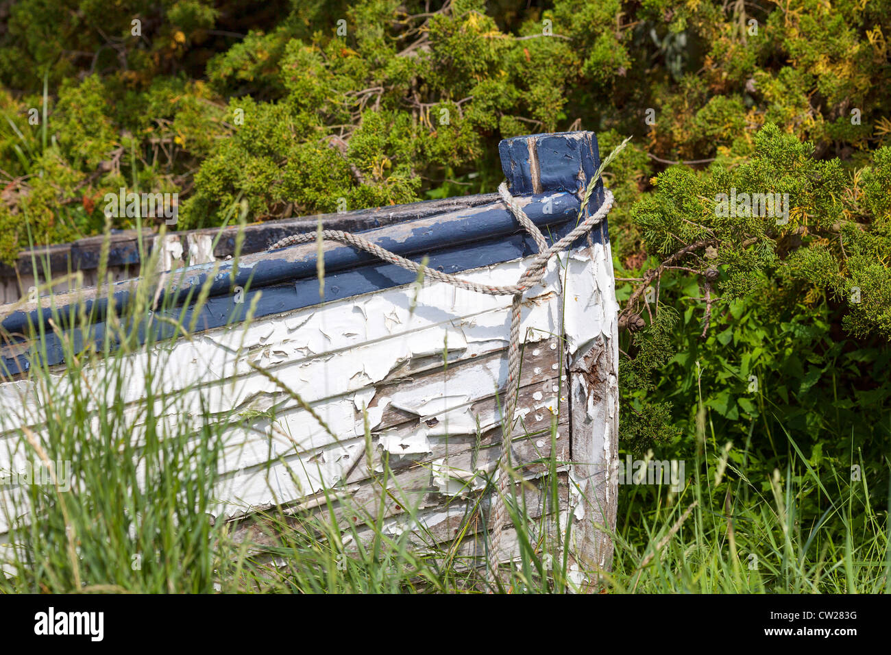 The skeleton of an old dilapidated and decaying boat left to rot on a ...