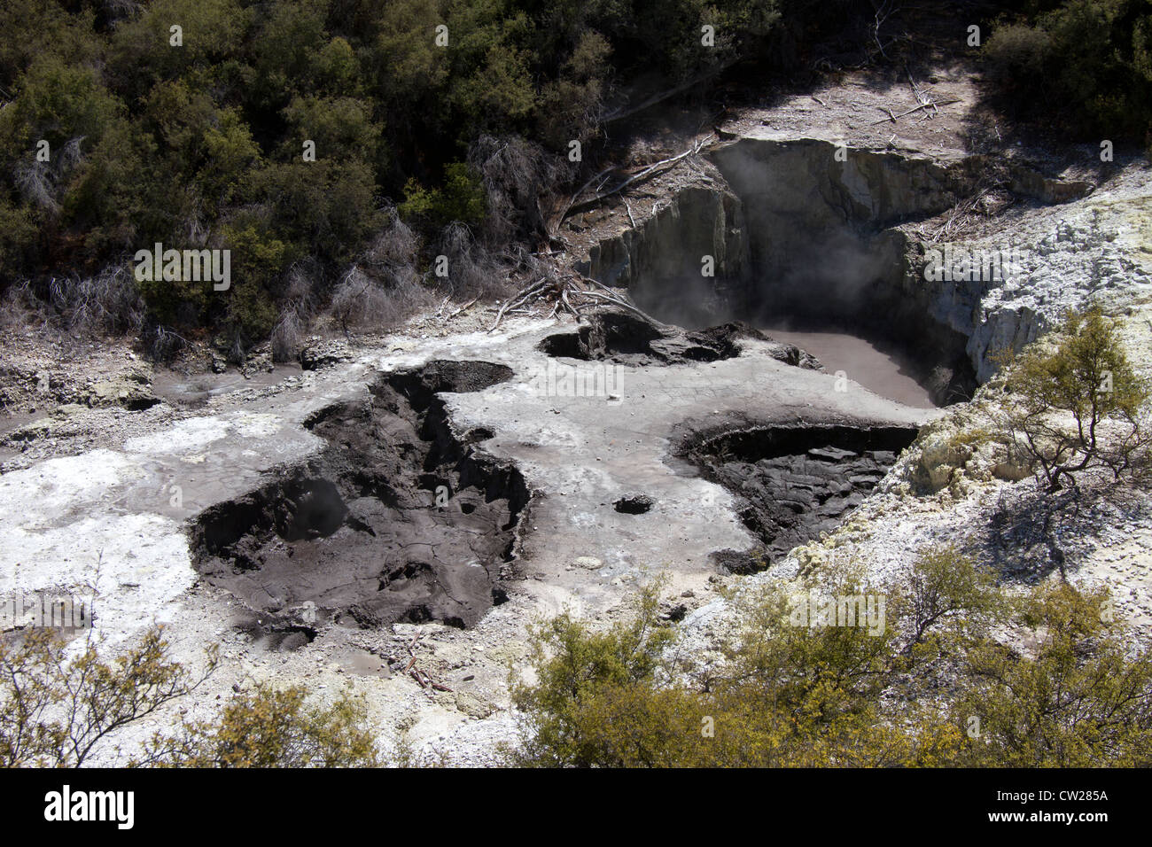 "Devil's ink pots" (boiling mud pools) at Wai-O-Tapu Thermal Wonderland ...