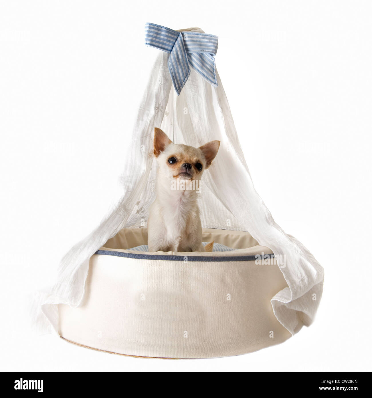 The front canopy Cut Out Stock Images & Pictures - Alamy