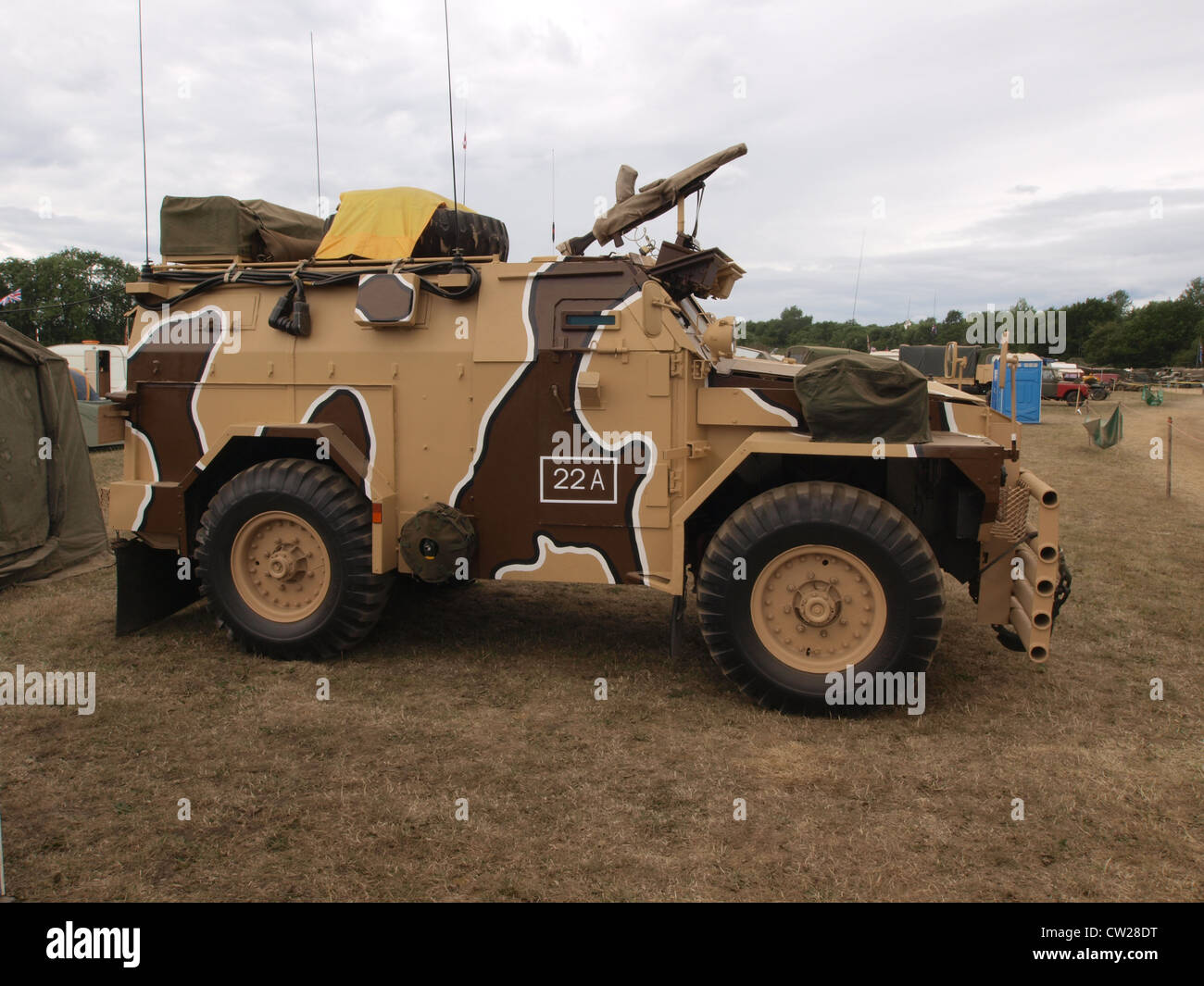 Humber pig hi-res stock photography and images - Alamy