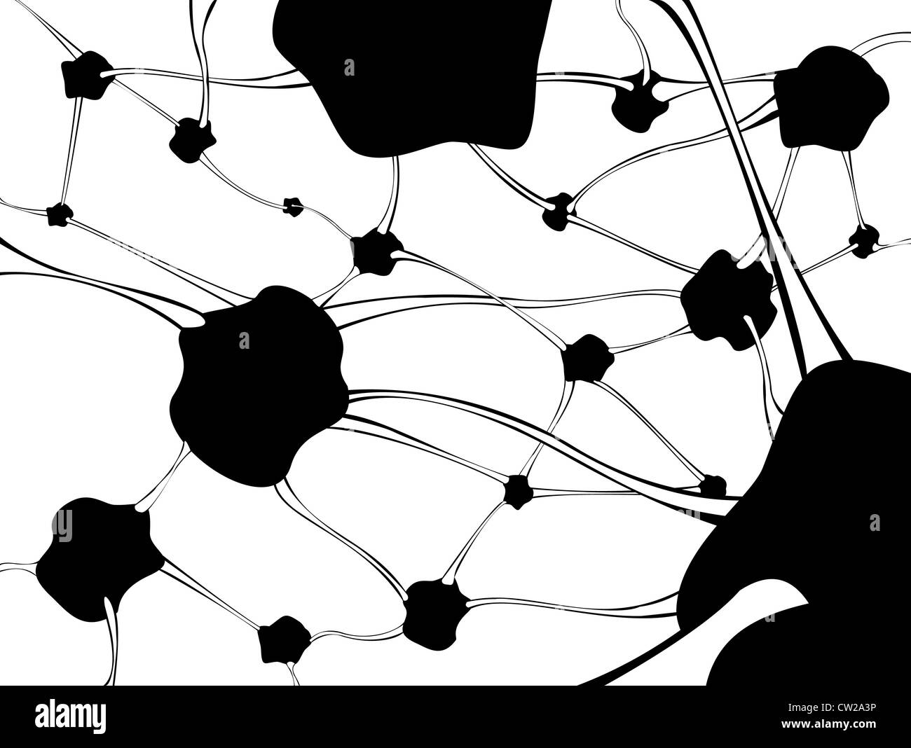 Nerve cell Black and White Stock Photos & Images - Alamy