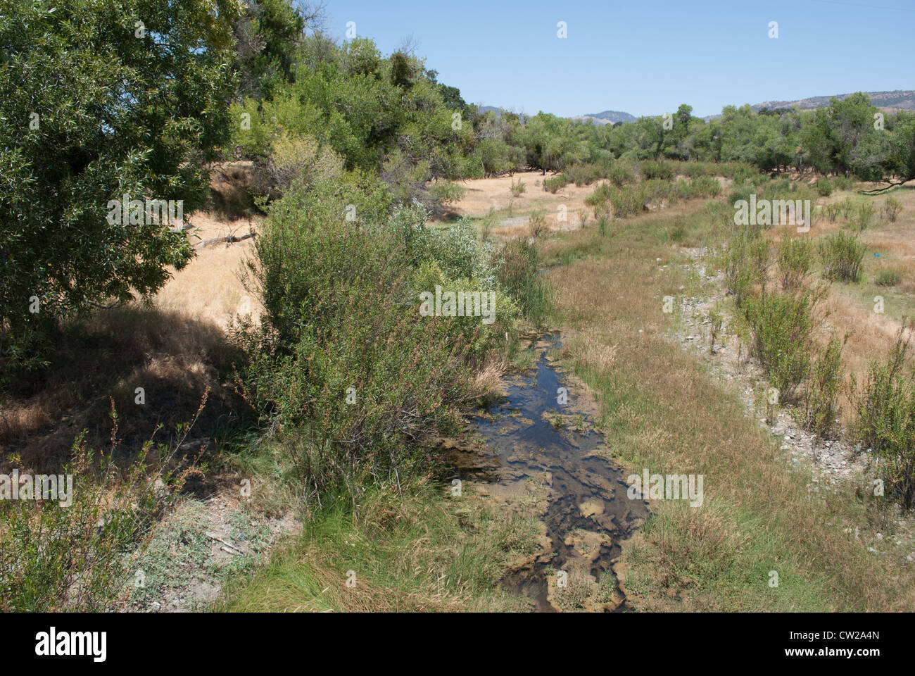 Stream directly above the San Andreas fault, near Parkfield CA Stock ...