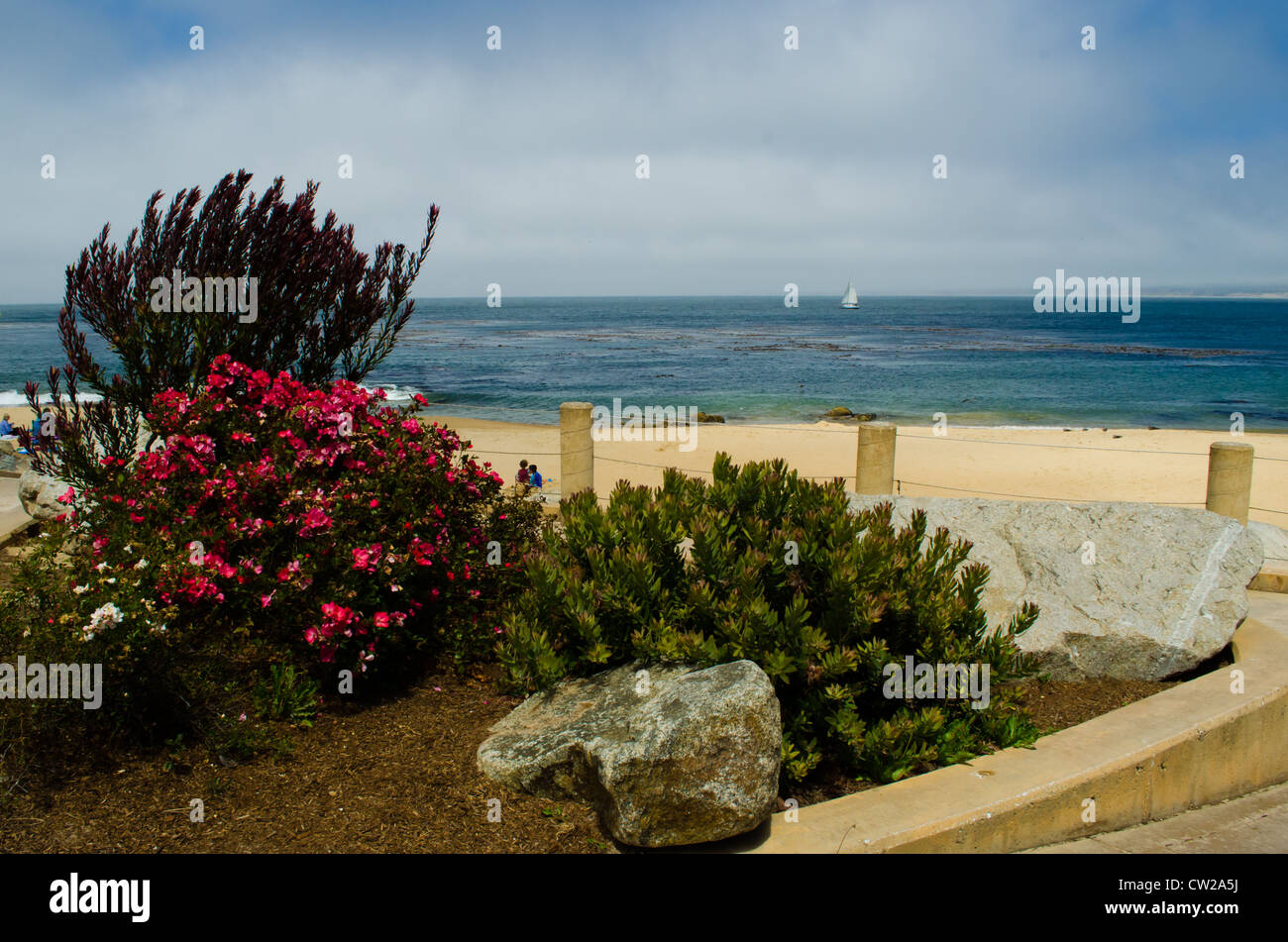 Monterey bay view hi-res stock photography and images - Alamy