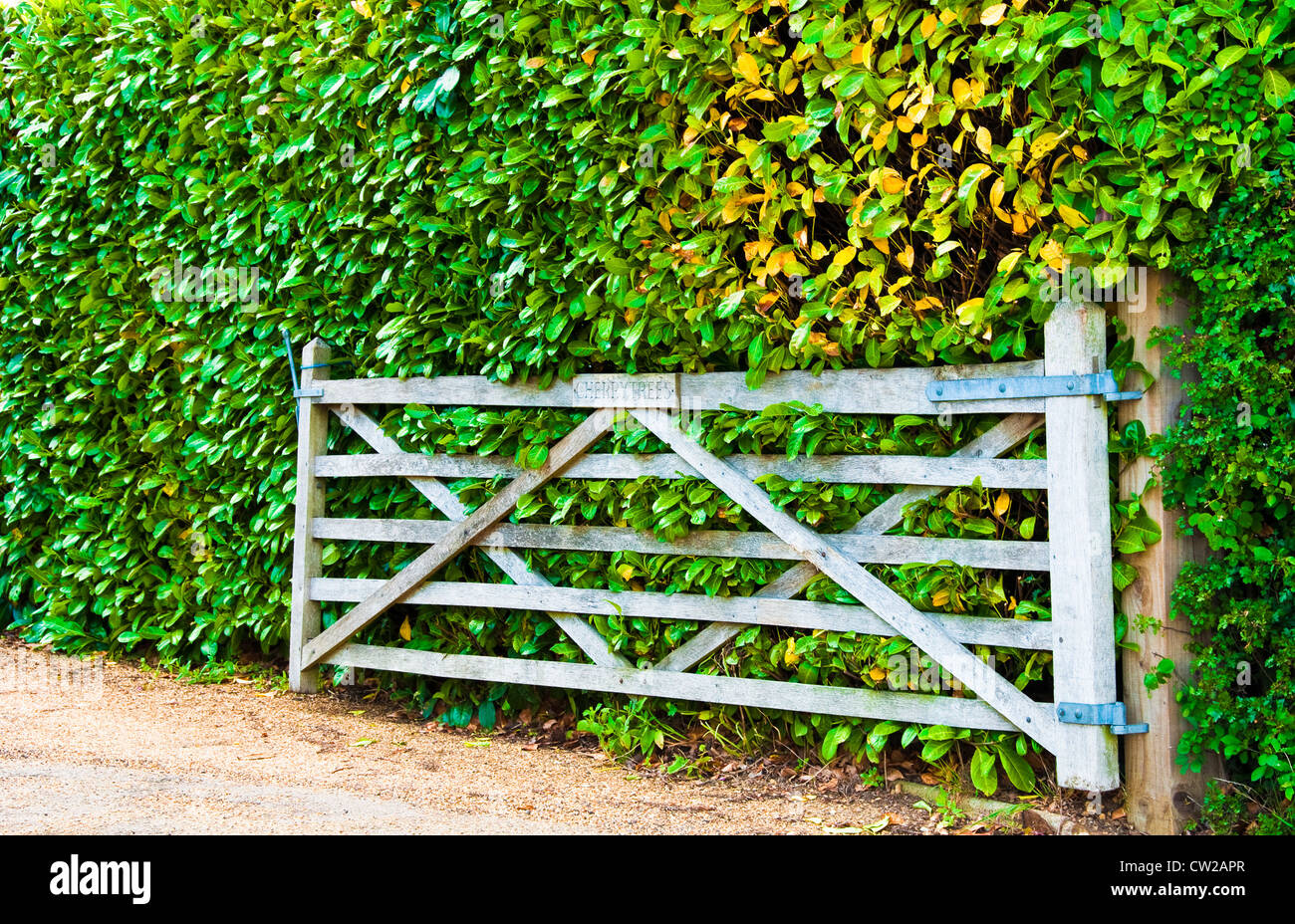 Cottage gate for background use Stock Photo - Alamy
