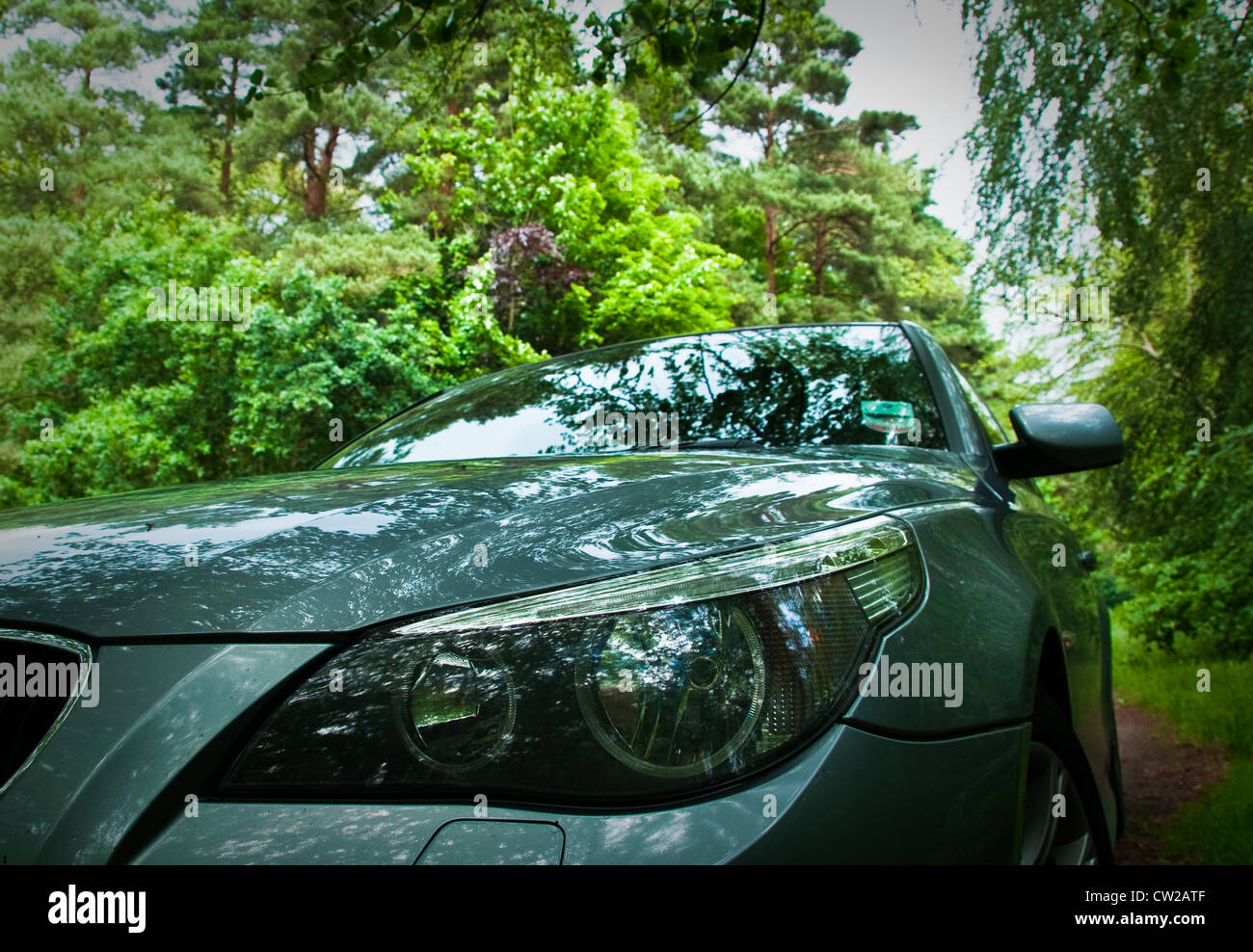 Modern car in a forest Stock Photo - Alamy