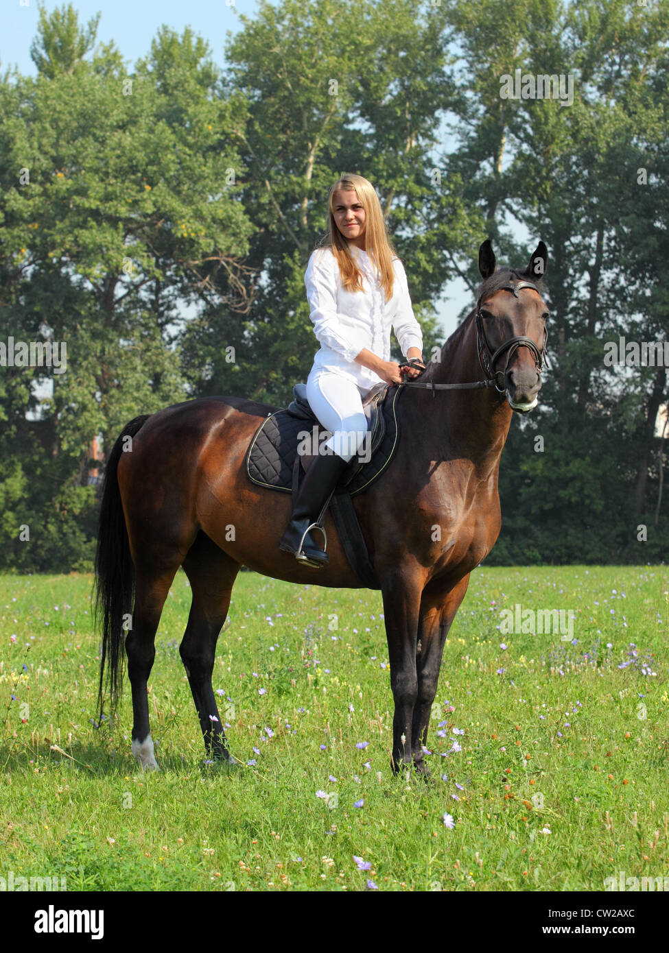 Horseback companionship hi-res stock photography and images - Alamy