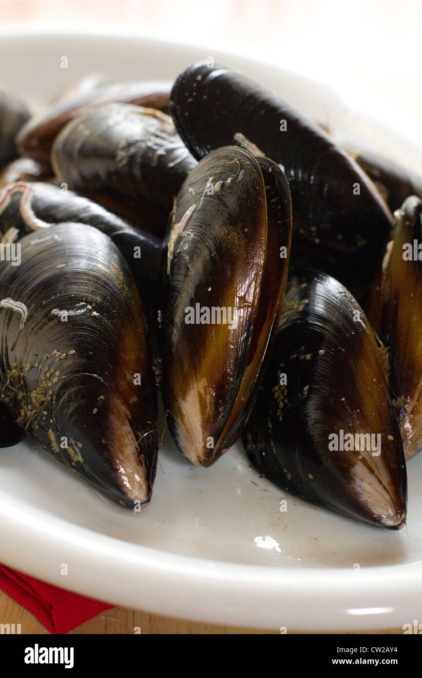 Australian blue mussels Stock Photo - Alamy