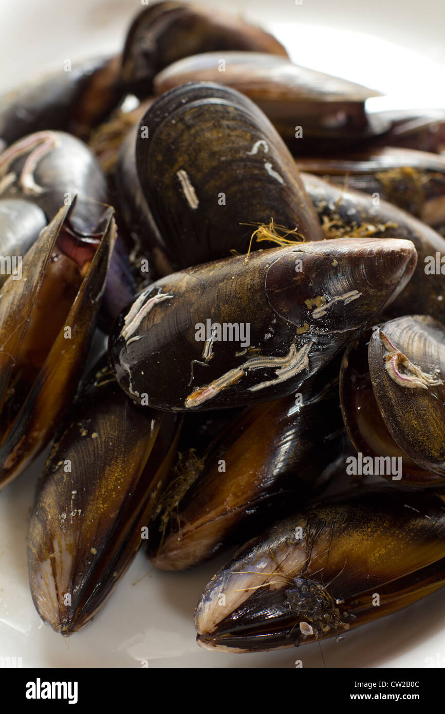 Australian seafood hi-res stock photography and images - Alamy