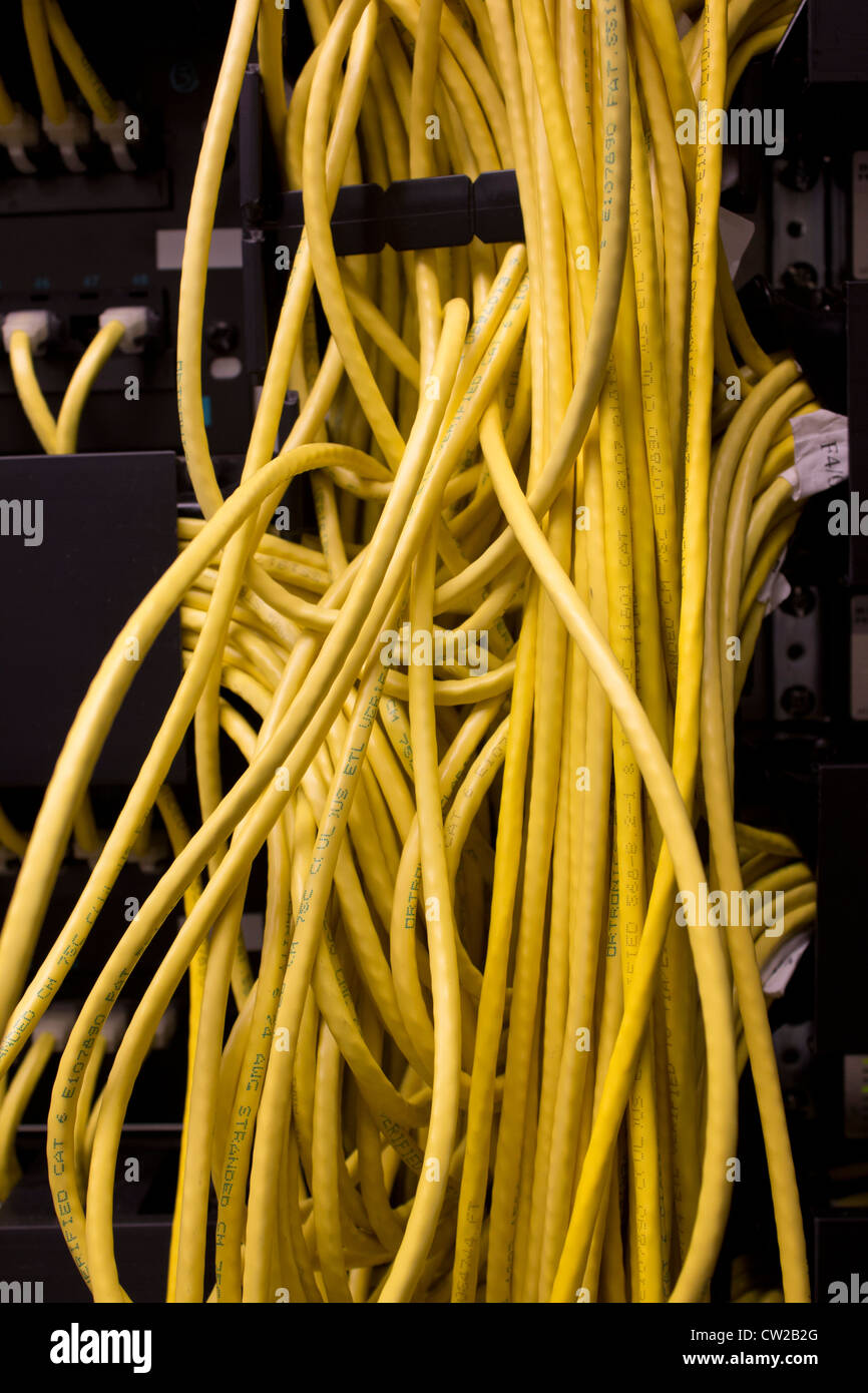 Yellow network cables in a server room Stock Photo - Alamy