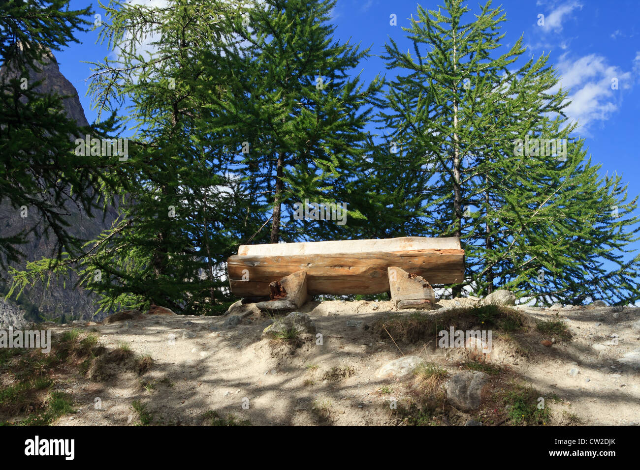 wooden bench between trees in Italian Alps Stock Photo - Alamy