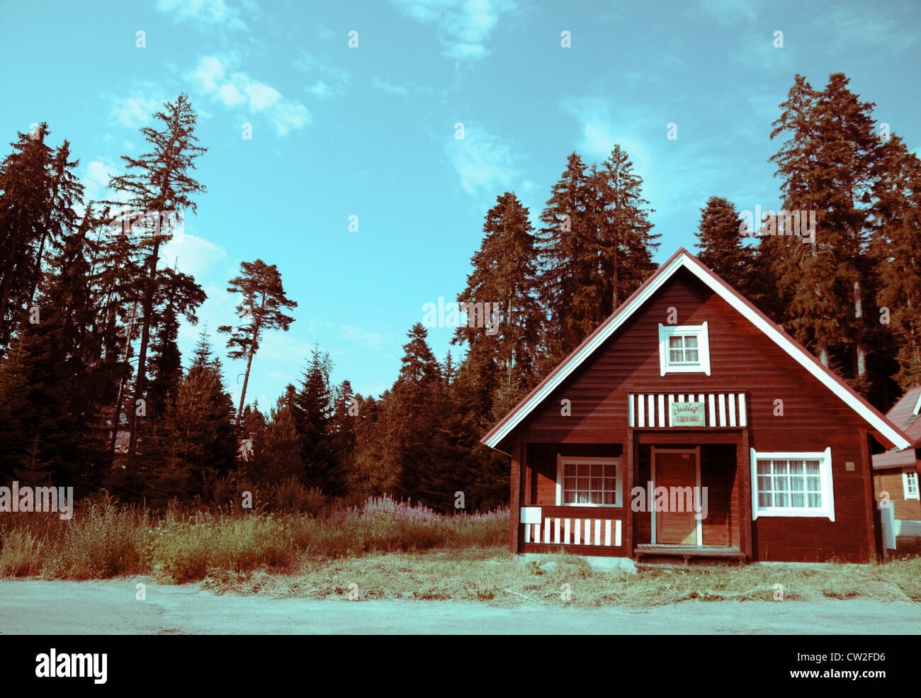 Wooden house in a pine forest Stock Photo - Alamy
