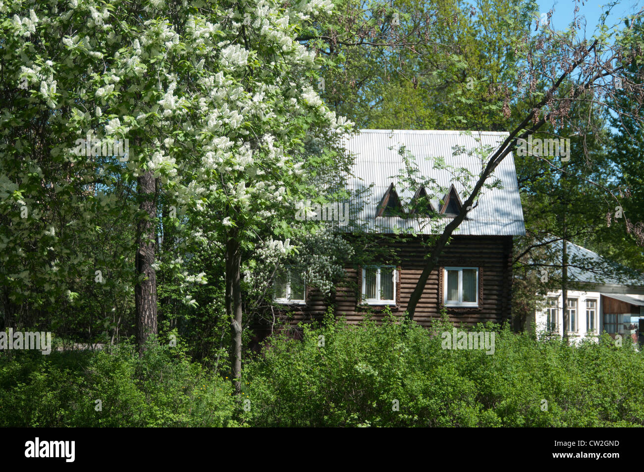 Wooden country house in a flowering garden in spring Stock Photo - Alamy