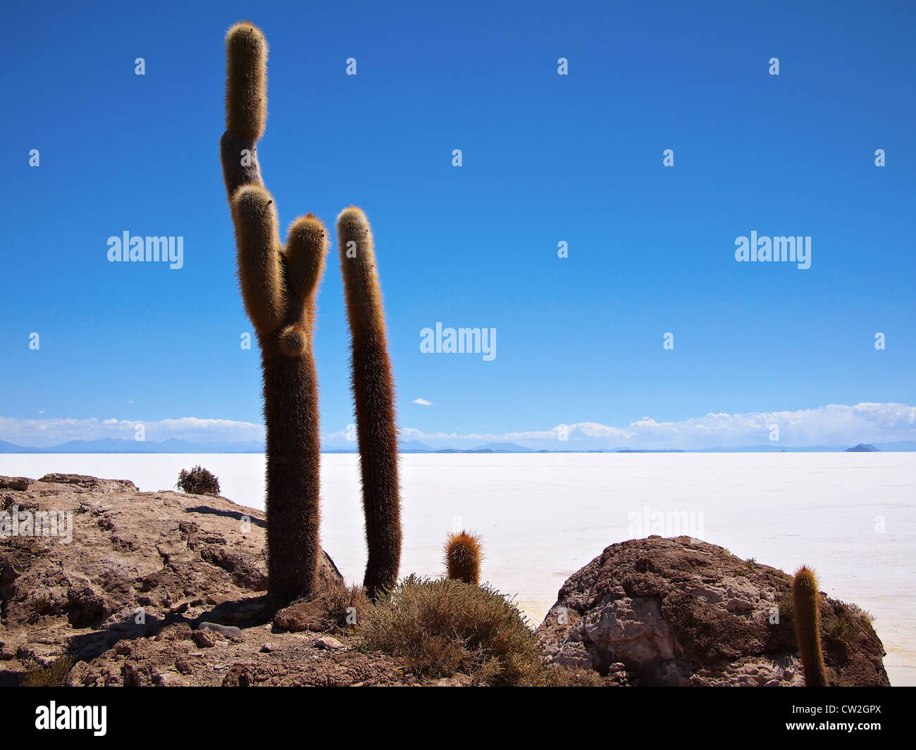 Salt border hi-res stock photography and images - Alamy