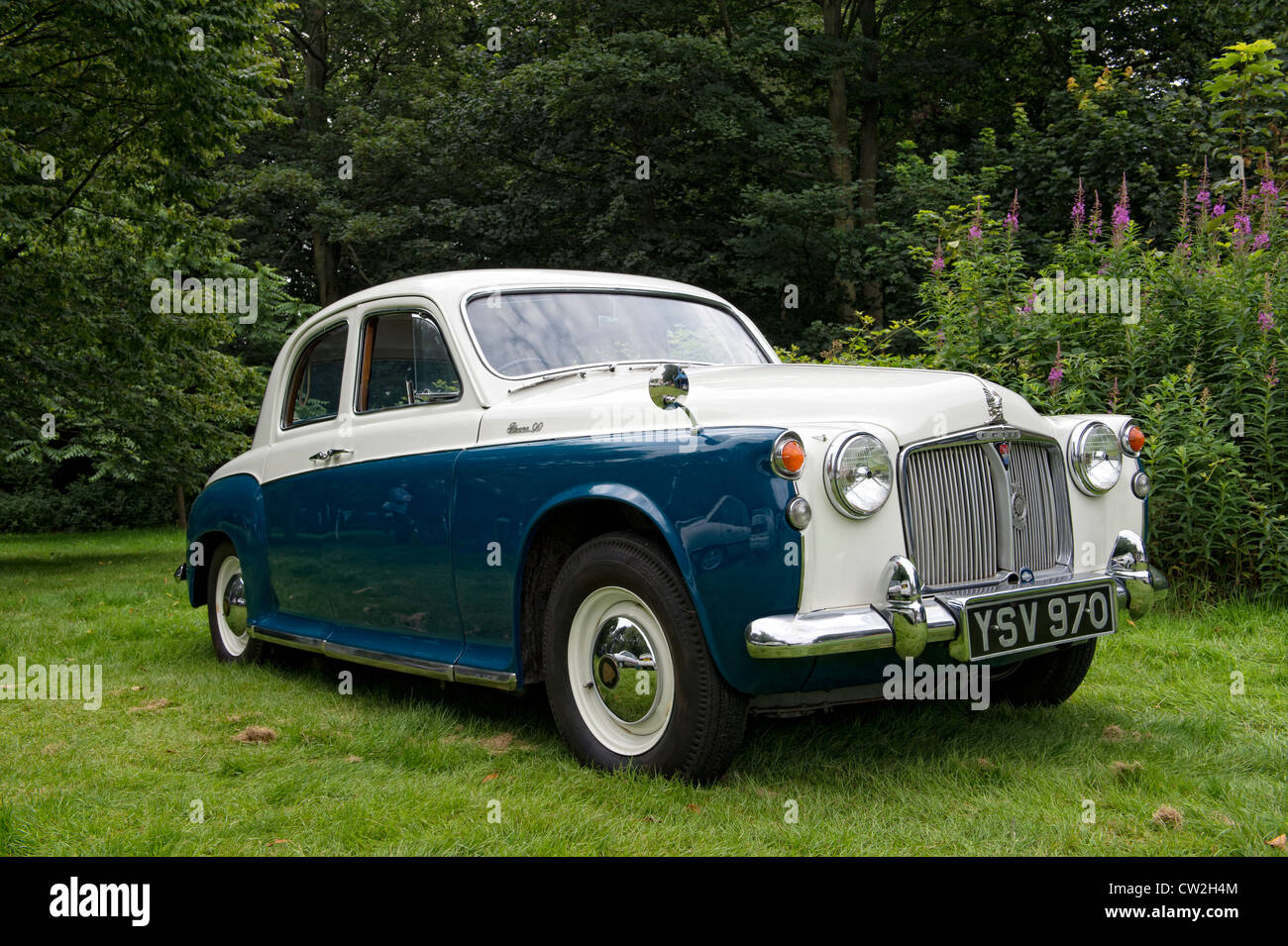 Classic vintage Blue and Cream Rover 90 motor car at a classic car show ...