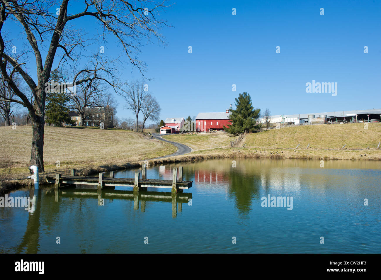 Lake in front of a farm landscape Stock Photo - Alamy