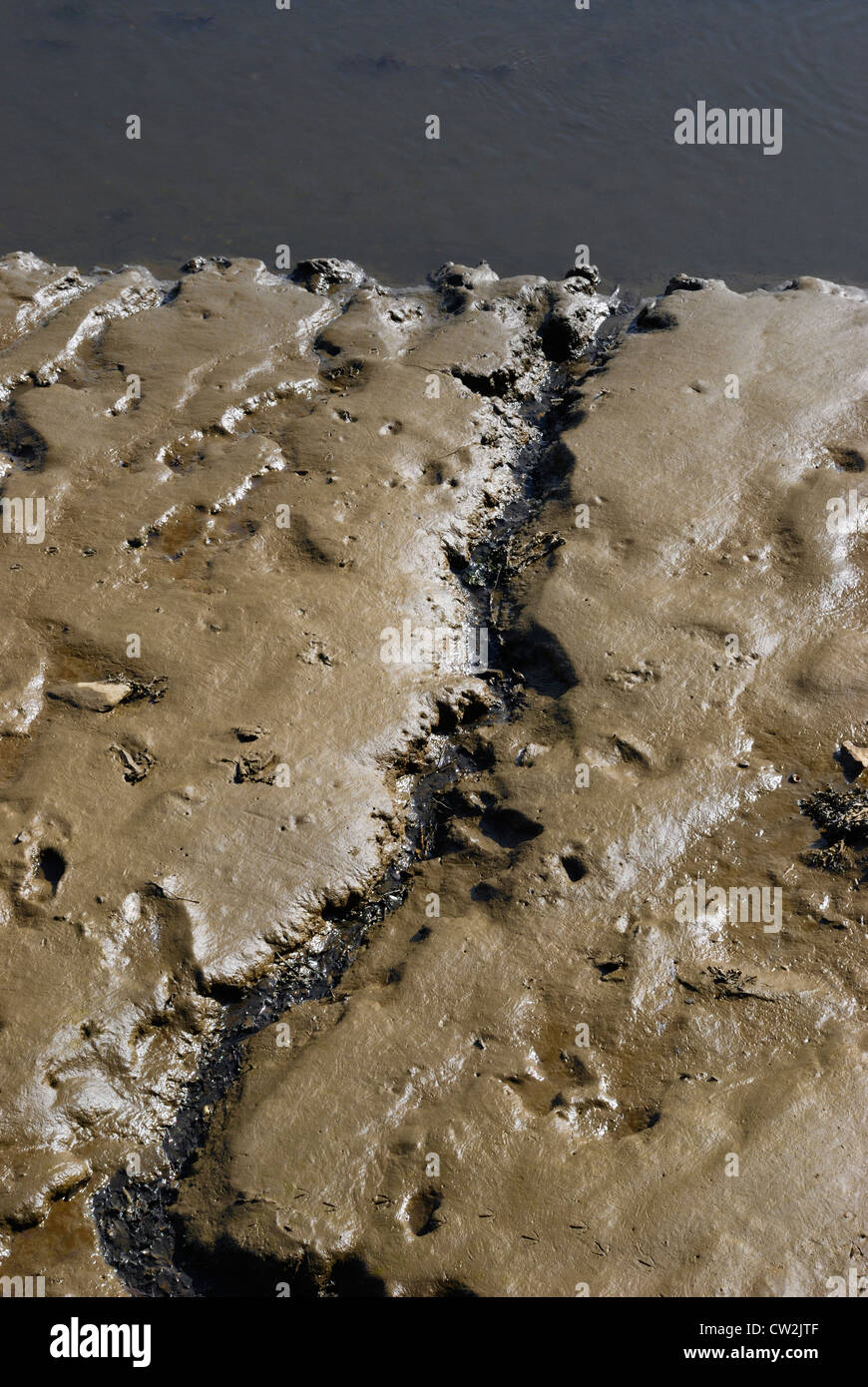 Beach mud pattern hi-res stock photography and images - Alamy