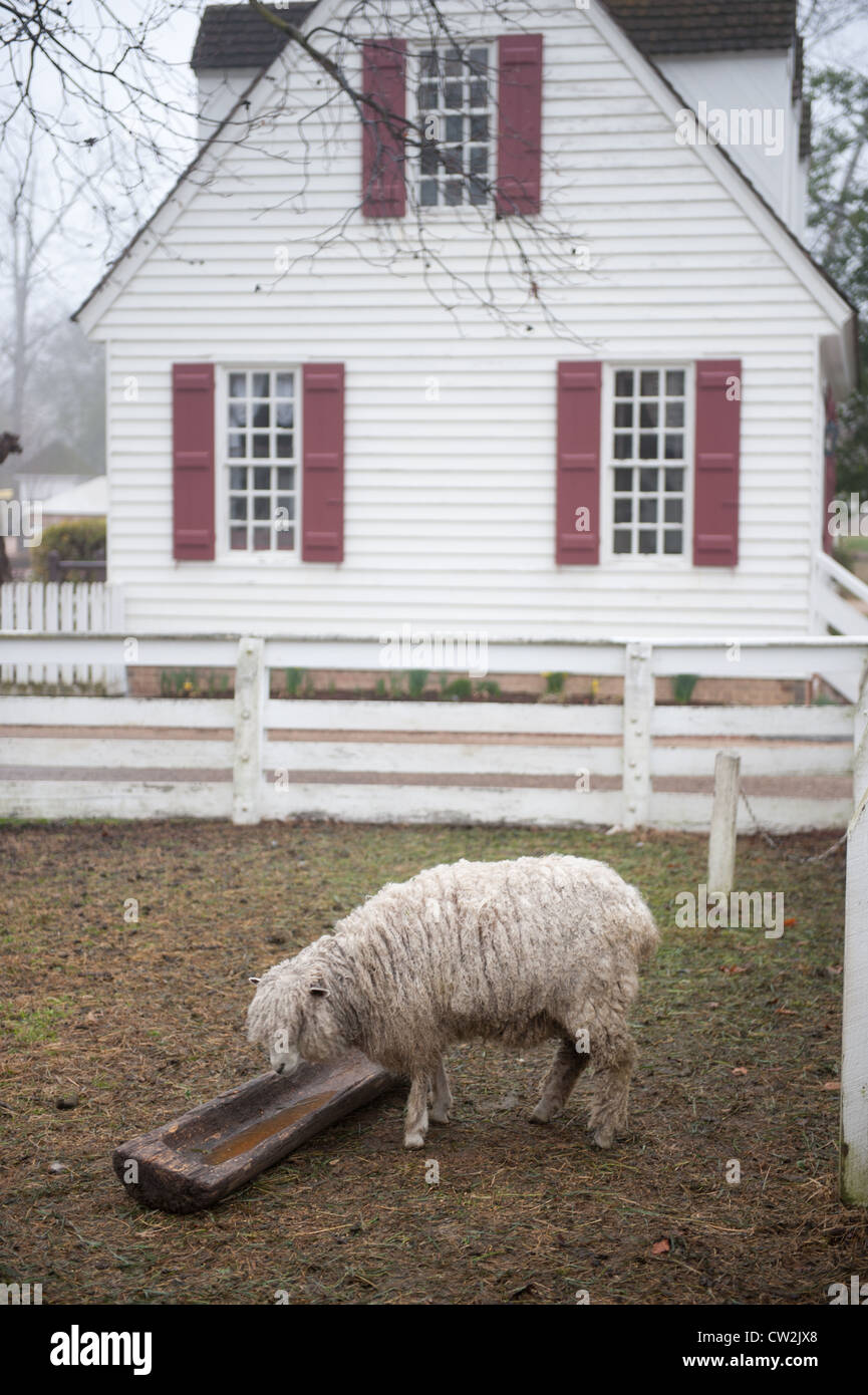America colonial farming hi-res stock photography and images - Alamy