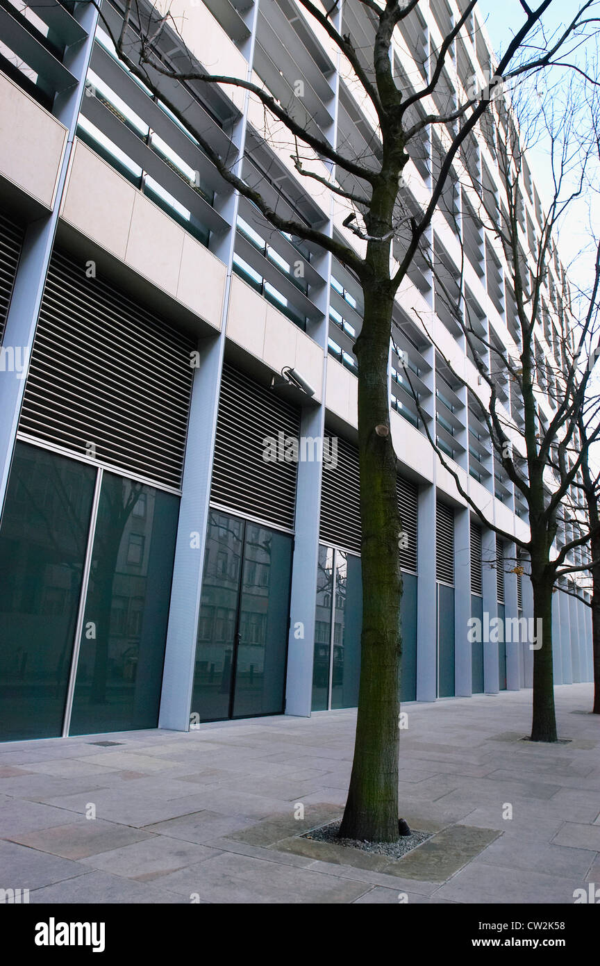 Office tree planting hi-res stock photography and images - Alamy