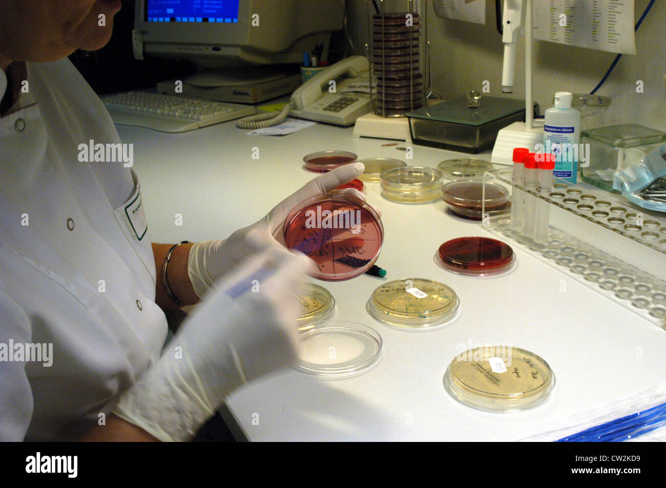 To rights of pathogens in the hospital laboratory Stock Photo - Alamy