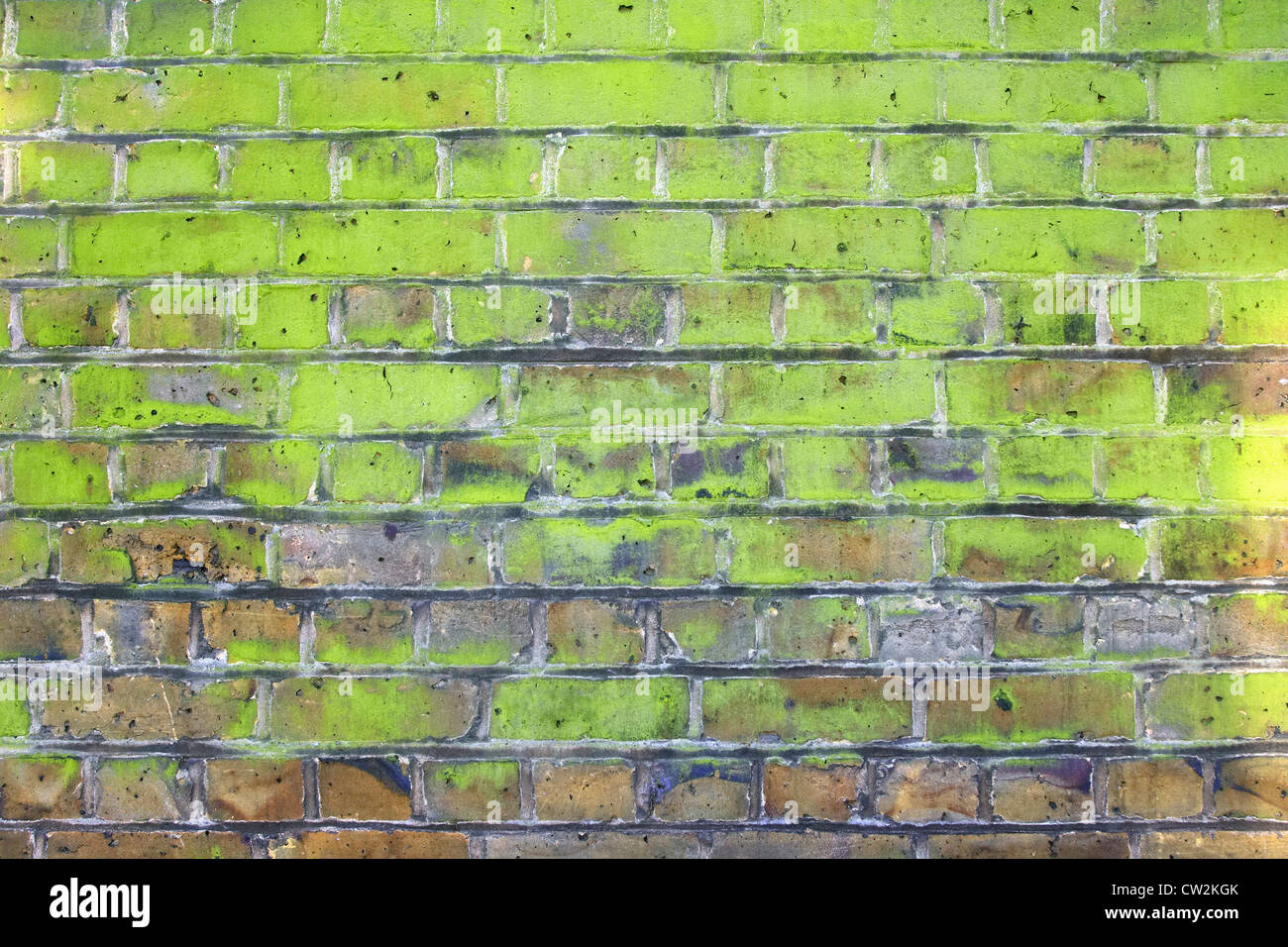 Headers and stretchers hi-res stock photography and images - Alamy