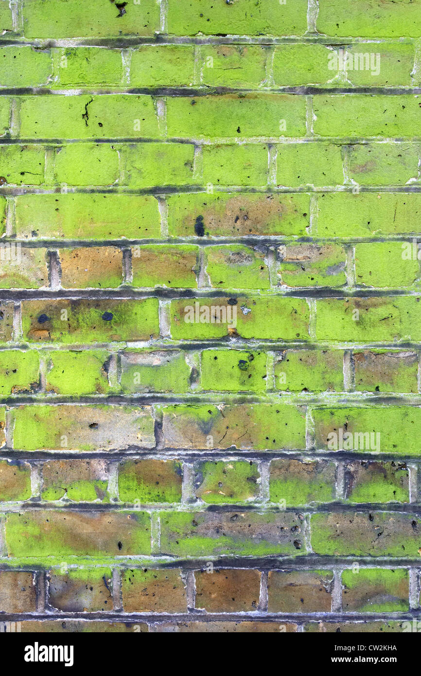 Decorative brickwork: English bond. This pattern comprising alternating ...