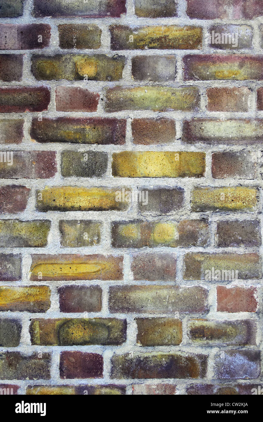 Decorative brickwork: Flemish bond. Alternating headers and stretchers ...