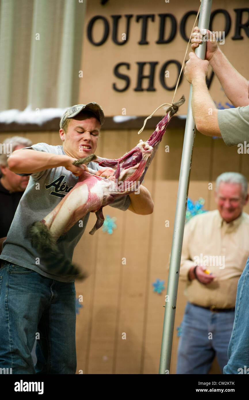 Man skinning a muskrat at the National Outdoor Show and World Muskrat ...