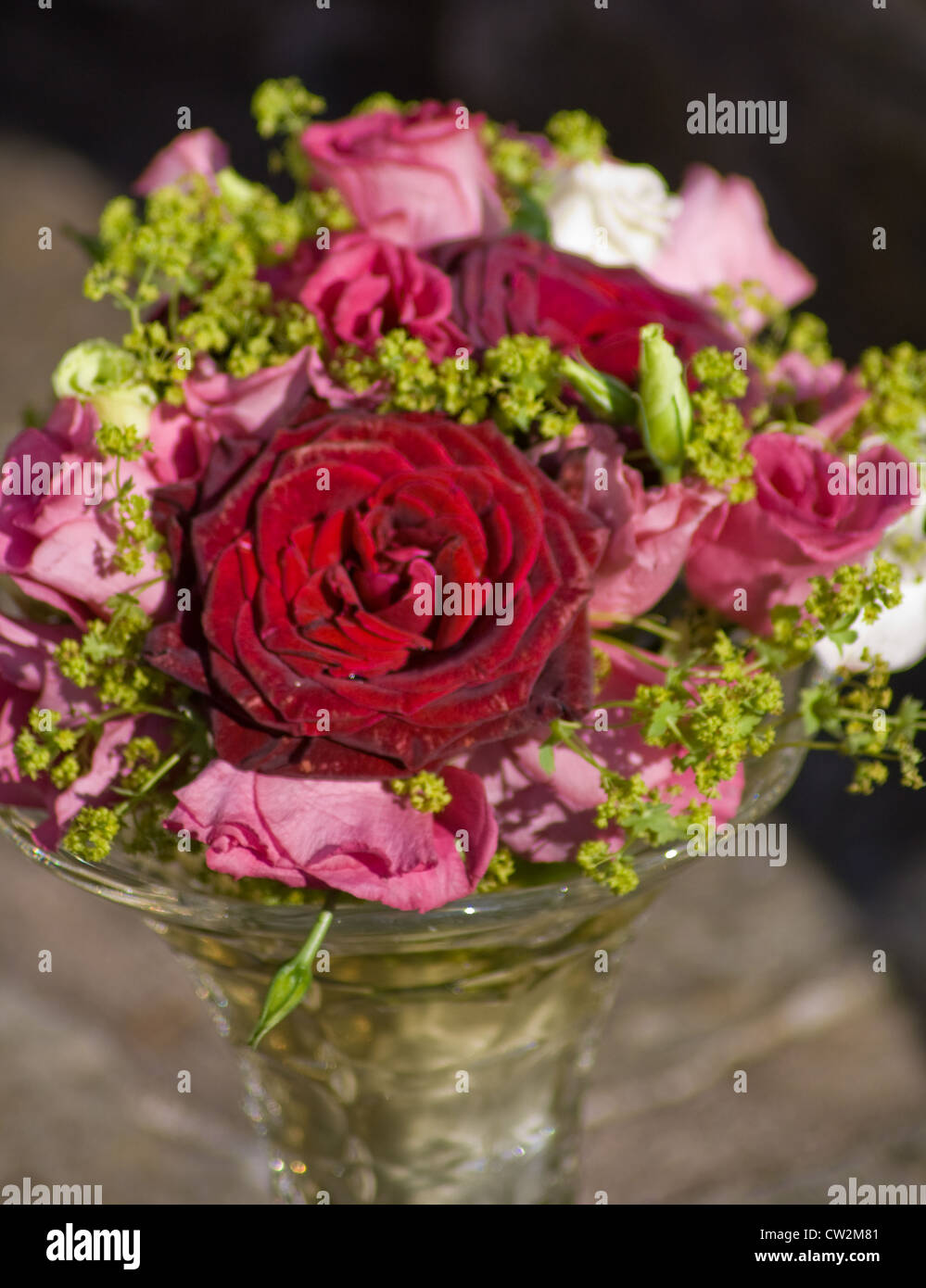 Crimson red rose flowers hi-res stock photography and images - Alamy
