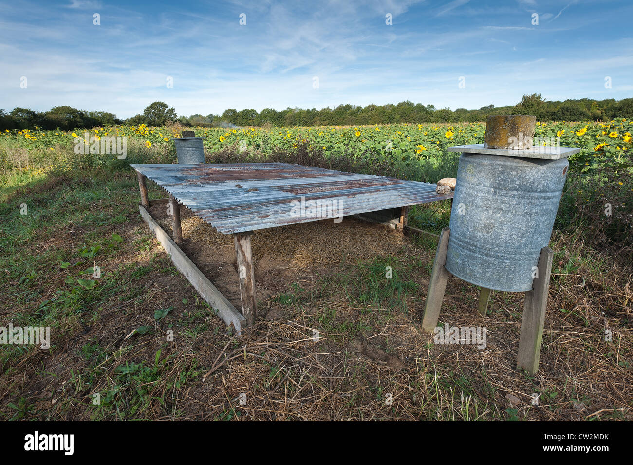 game bird coop for pheasants quail during shooting hunting season with ...