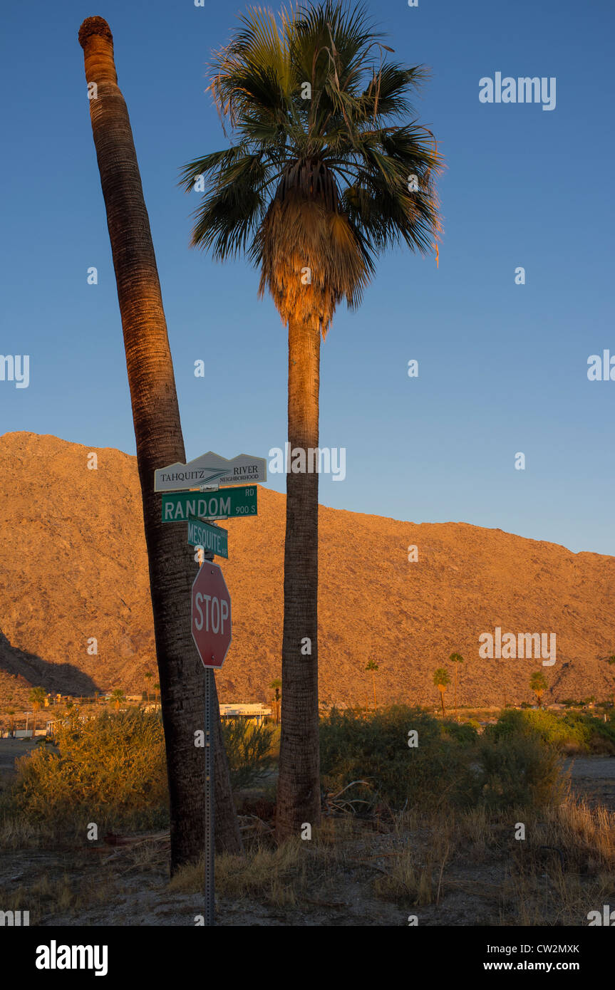 Palm tools hi-res stock photography and images - Alamy